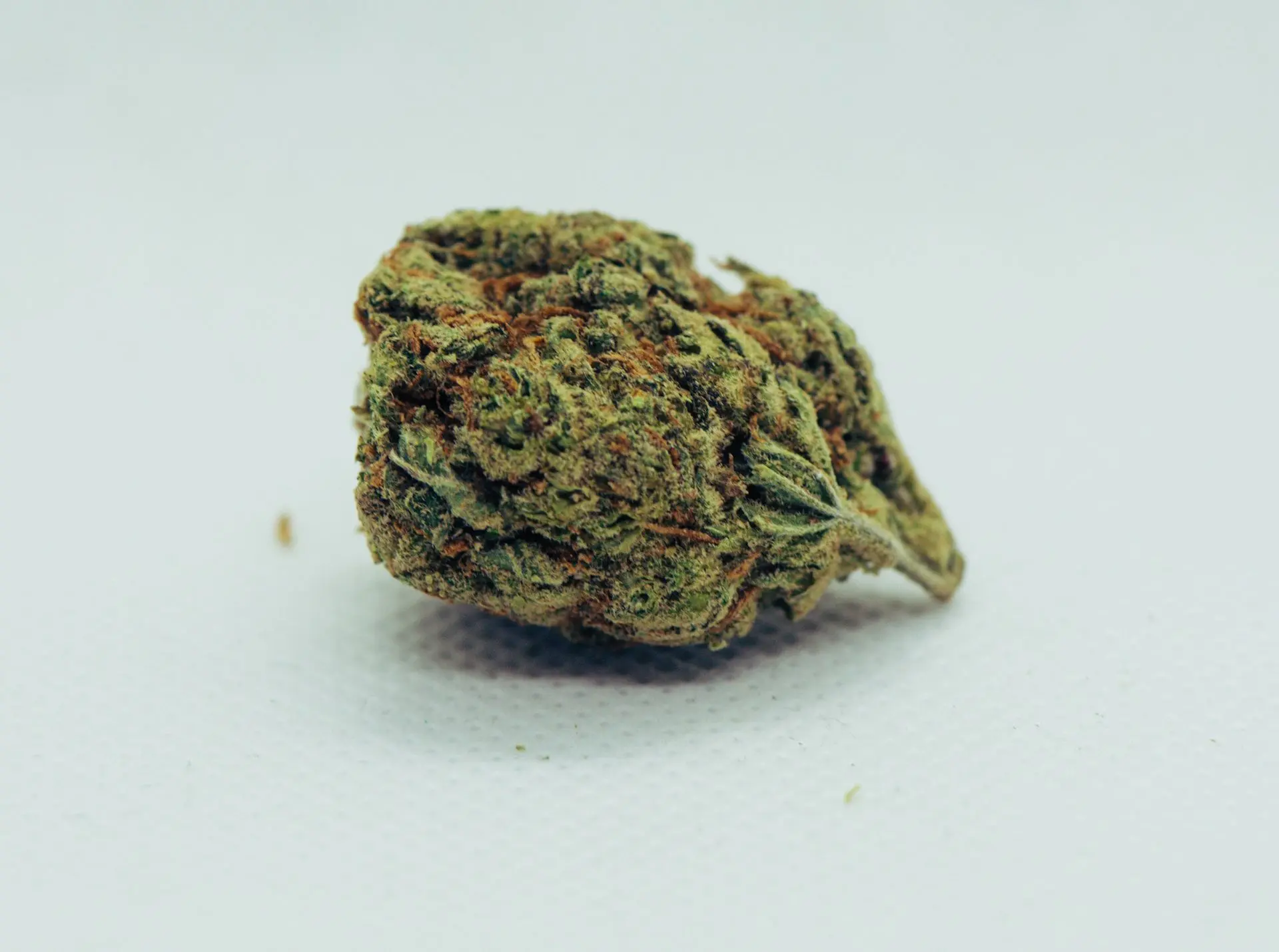 Cannabis Genetics Explained: The history and story of Sour Diesel (Chem ...