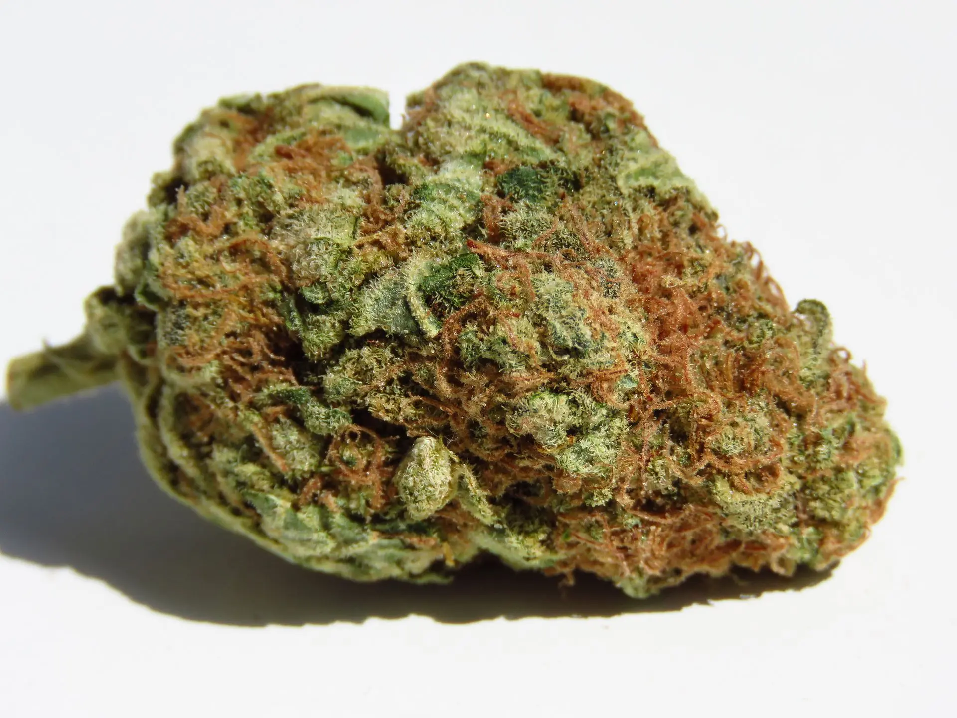 Cannabis Genetics Explained: The History and Story Of Pineapple Express ...