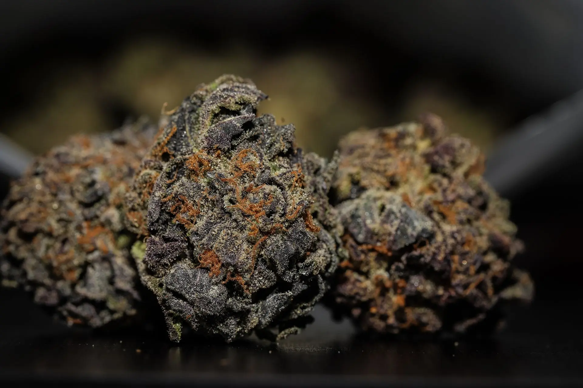 Cannabis Genetics Explained: The history and story of Grand Daddy ...