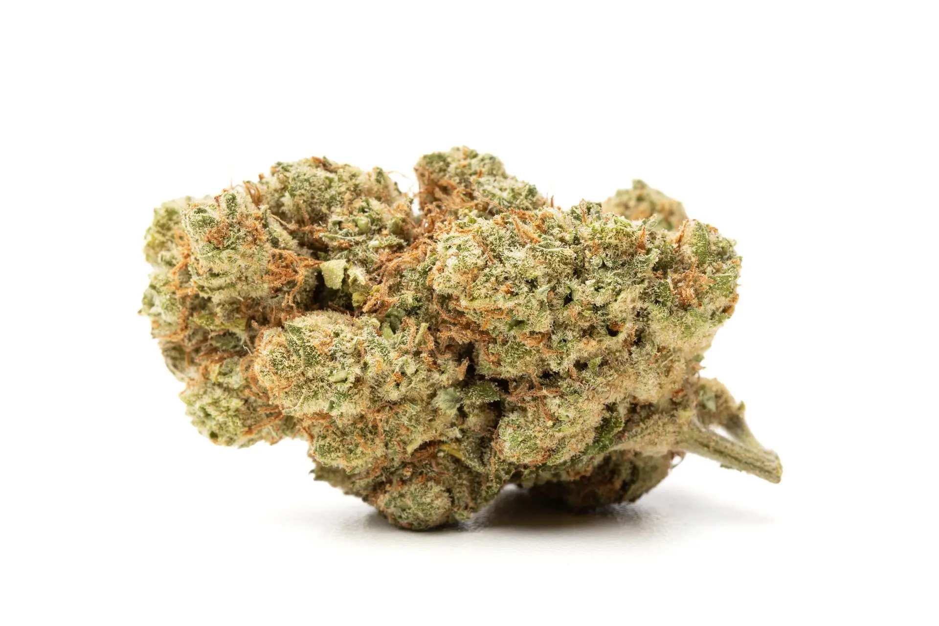 Cannabis Genetics Explained: Motorbreath (Chemdog x SFV OG) The History ...